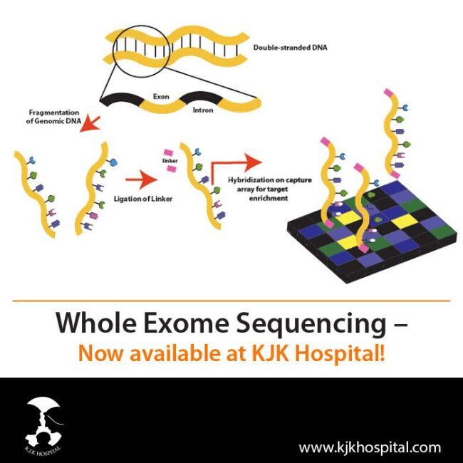 Whole Exome Sequencing | KJK Hospital and Fertility Research Centre ...